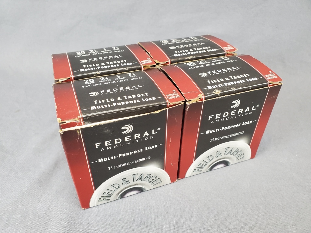 Epic Auctions & Estate Sales Lot 599 Federal 20 Gauge Field and Target ...
